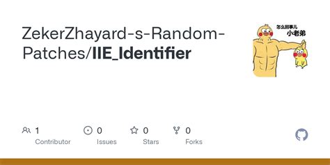 Github Zekerzhayard S Random Patchesiieidentifier