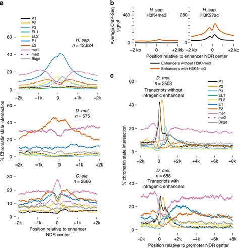 Variation Of Enhancer Chromatin Architecture Across Species A