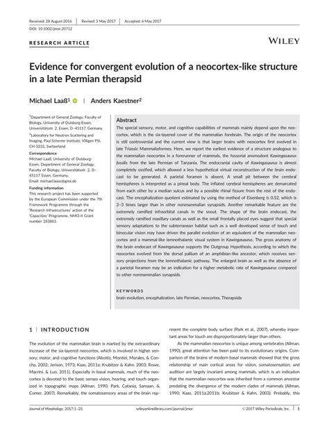 Pdf Evidence For Convergent Evolution Of A Neocortex Like Structure