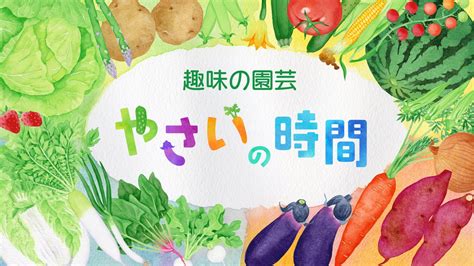 放送予定 趣味の園芸 やさいの時間 Nhk