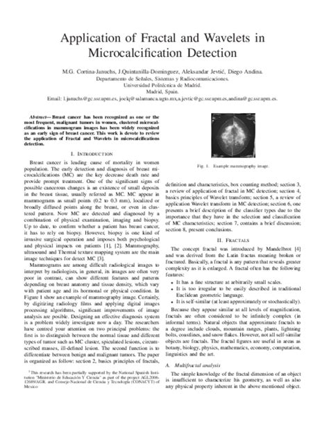 Pdf Application Of Fractal And Wavelets In Microcalcification Detection