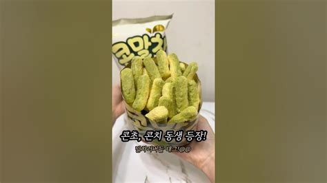 콘초 콘치의 동생이 나온걸 알기용 Youtube