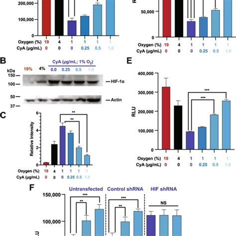 Differential Expression Analysis Of Proteomics Data A Heatmap Of Download Scientific