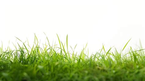 Green Grass On White Background Generative Ai Premium Ai Generated Image