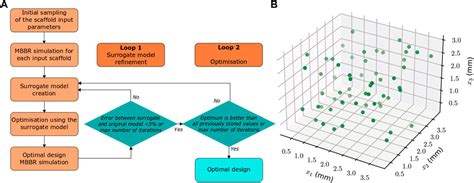Frontiers A Mechanobiological Computer Optimization Framework To