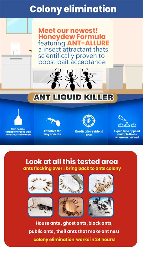 🥇antslayer ® Ant Killer Liquid Ant Bait 30ml Pest Control Ant Gel L