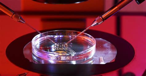 Health News Clinical Trials And Regulations Dna And Rna Editing The