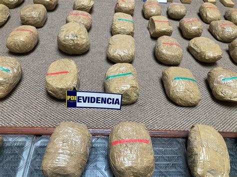Desbaratan Red De Narcotraficantes Cinco Detenidos Y 238 Kilos De