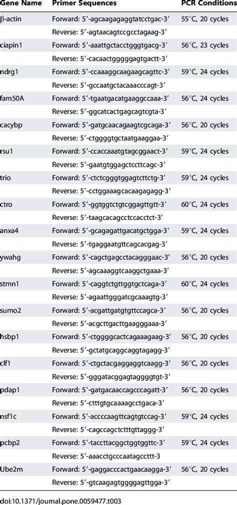 Primer Sequences Used In The Semi Quantitative Rt Pcr Analysis