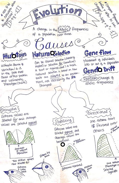 Unit 3 Cell Structure Function Artofit