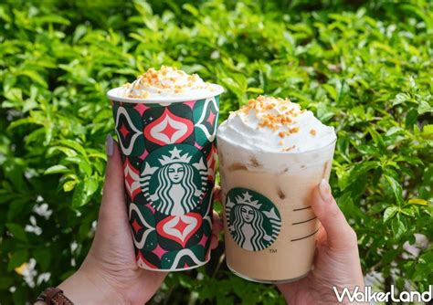 布丁版太妃核果那堤超過100款星巴克耶誕新品超萌北極熊杯栗子蒙布朗領軍必看 beanfun