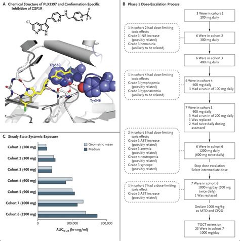 Structure Guided Blockade Of CSF1R Kinase In Tenosynovial Giant Cell