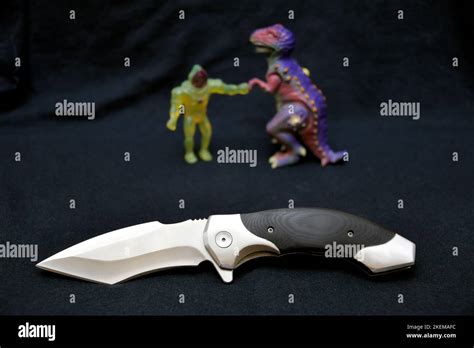 Folding Knife Beautiful Rare Design Cutting Silver Edge Black Handle