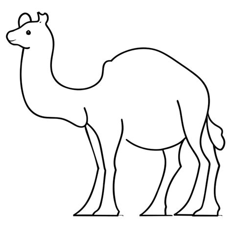 Como Desenhar Um Camelo Abre Uma Nova Aba Uma Lição De Desenho Passo A