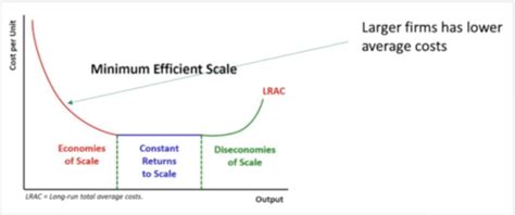 Econ Principles Unit 7 Week 8 Flashcards Quizlet