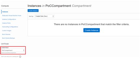 OCI Compute Instance OCI Instance Types Overview
