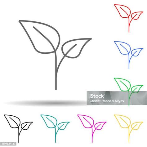 留下多色樣式圖示簡單的細線葉和花卉圖示的輪廓向量用於 Ui 和 Ux網站或移動應用程式向量圖形及更多外型圖片 外型 大自然 差異