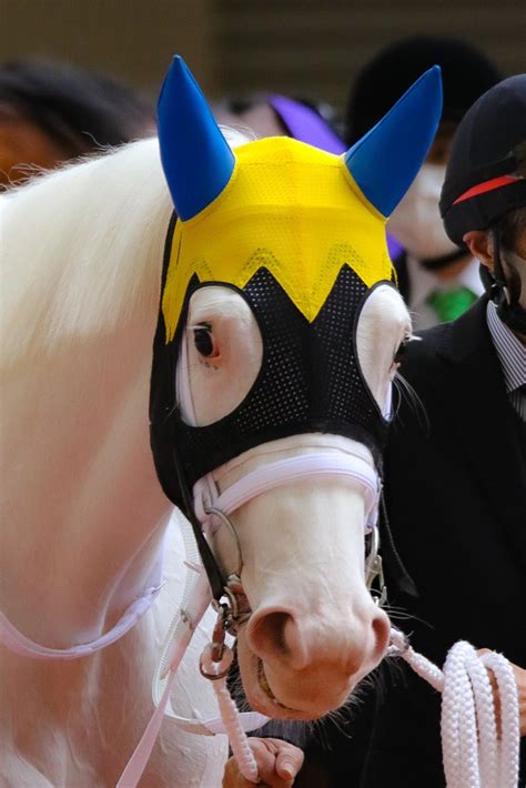 白毛一族は芝でも重賞を勝てる 2020年札幌2歳s・ソダシ ウマフリ 競馬コラム＆ニュース