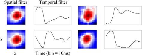 Color Online Spatiotemporal Filters Can Be Defined And Used As Part Download Scientific