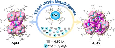 Description of TC4A⁴⁻-POVs metalloligands Schematic diagram of the ...