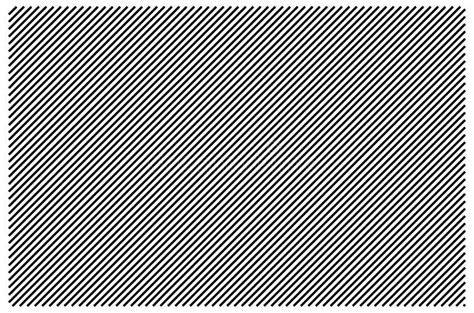 Vector Blanco Y Negro Del Fondo Del Fondo Del Fondo Abstracto Gr Fico B Sico De Los Modelos