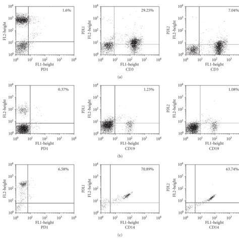 One Representative Facs Dot Plot Data Of Pd 1 Pd L1 And Pd L2 On Cd3