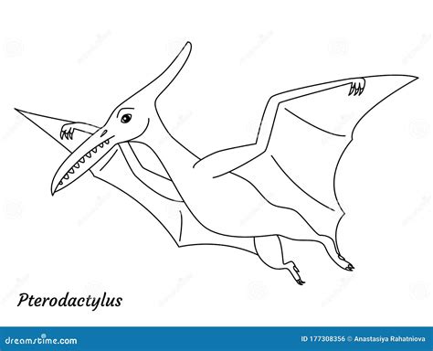 Pterodactylus Dinosaur Vector Cartoon Dinosaur