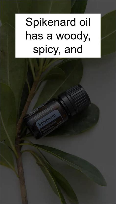 Spikenard Essential Oil Benefits And Uses Video Essential Oil Uses Essential Oil Benefits