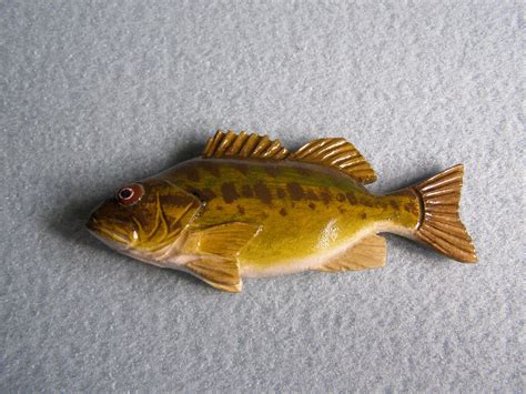 Juvenile Largemouth Bass Micropterus Salmoides 5 10 Inches 3d Wall