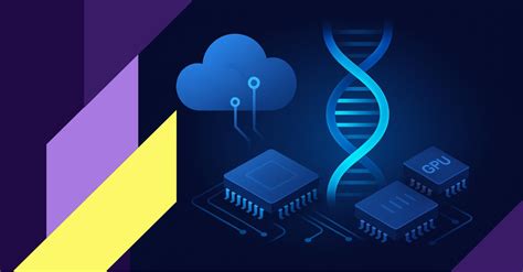 Scalable Bioinformatics Workflows Cloud Optimization And Hardware
