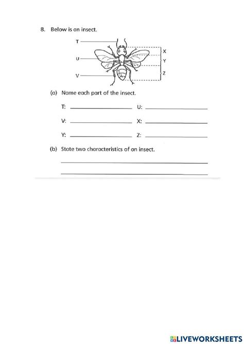 Science Homework Interactive Worksheet Live Worksheets