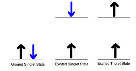 Photochemistry Is A Triplet State Or Singlet State More Stable
