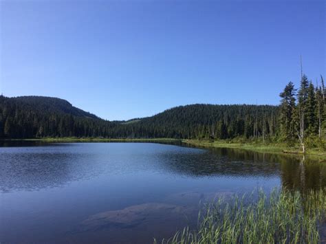 Mckenzie Meadows Strathcona Wilderness Institute