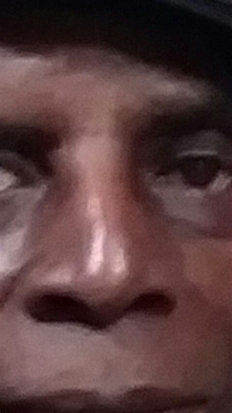 Discover The Majestic Tree Of Life