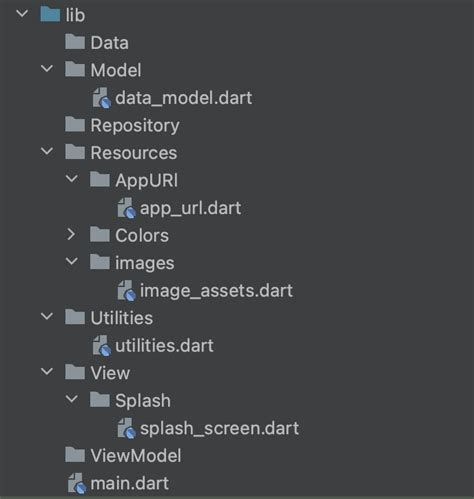 Mvvm Flutter App 제작 04 날짜 데이터 포맷용 헬퍼 함수 정의 Weather Api Implementation