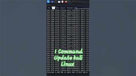 Only 1 Command Update Kali Linux Youtube
