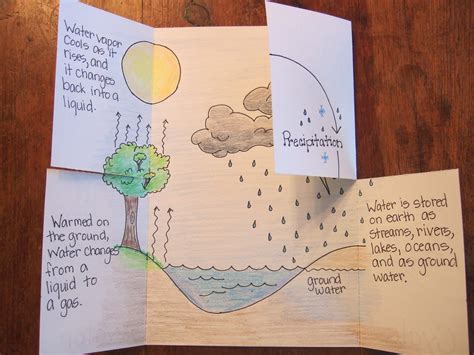 The Water Cycle FIFTH GRADERS