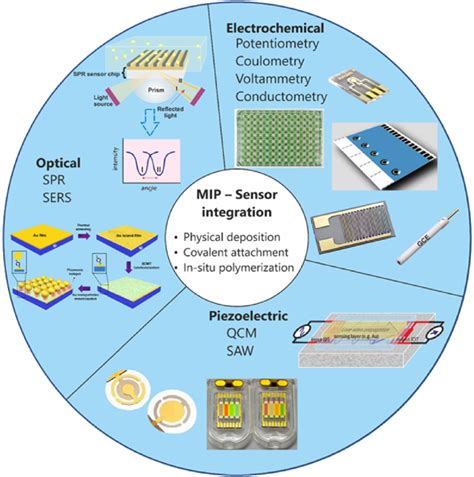 Types And Examples Of Commonly Used Label Free Sensors Used In Mip