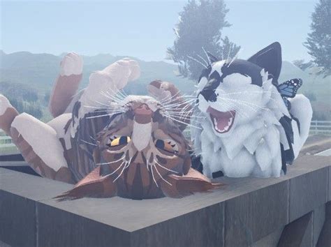Morph Inspiration` Warrior Cats Warrior Cats