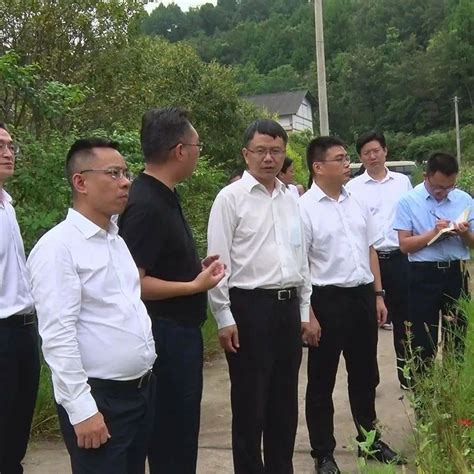 省人力资源和社会保障厅领导来我市调研胡斌