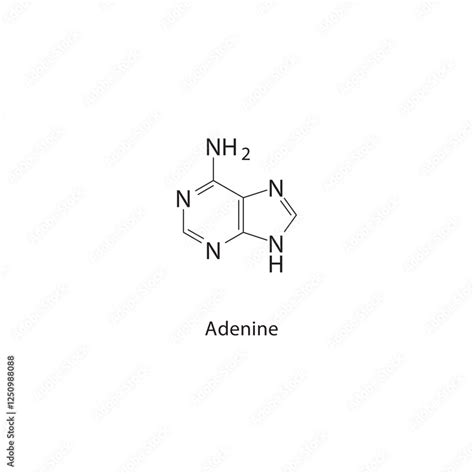 Allylamine Skeletal Structureamine Compound Schematic Illustration