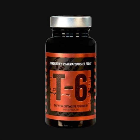 Zion Labs T 6 Usa Verzia 60 Kapsúl
