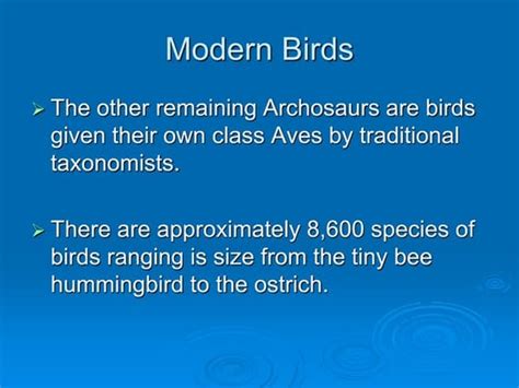 Avian Feathers Note On Structure Of Quill Feathers Types Of Feathers Pdf