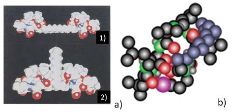 Structural Interpretation Of Surfactin 20 At The Air Water
