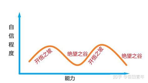 从达克效应说起，从懵懂无知到超群绝伦，智慧的三个阶段 知乎