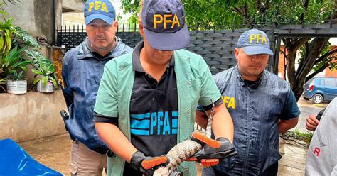 Rescataron A Casi 140 Animales Exóticos En Domicilios Del Amba Había