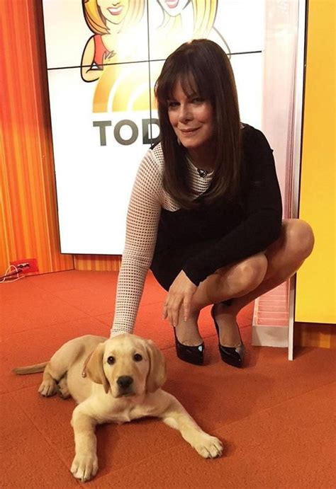 Marcia Gay Harden Mgh8 On X Gay Fifty Shades Series Today Show