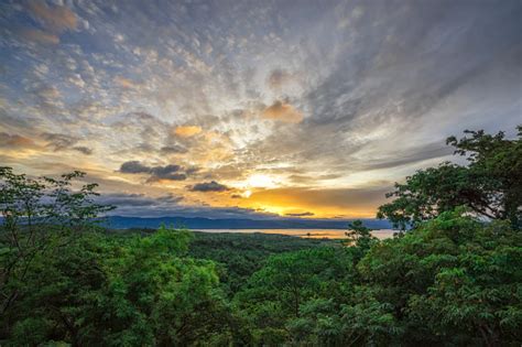 全景和五顏六色的自然景觀和陽光透過雲層在日出 從山頂的看法 照片檔及更多 光 照片 光 地勢景觀 地平線 Istock