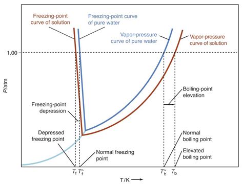 10 Determination Of The Molar Mass By Freezing Point Depression