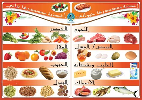 مصادر الأغذية Quick Grammar